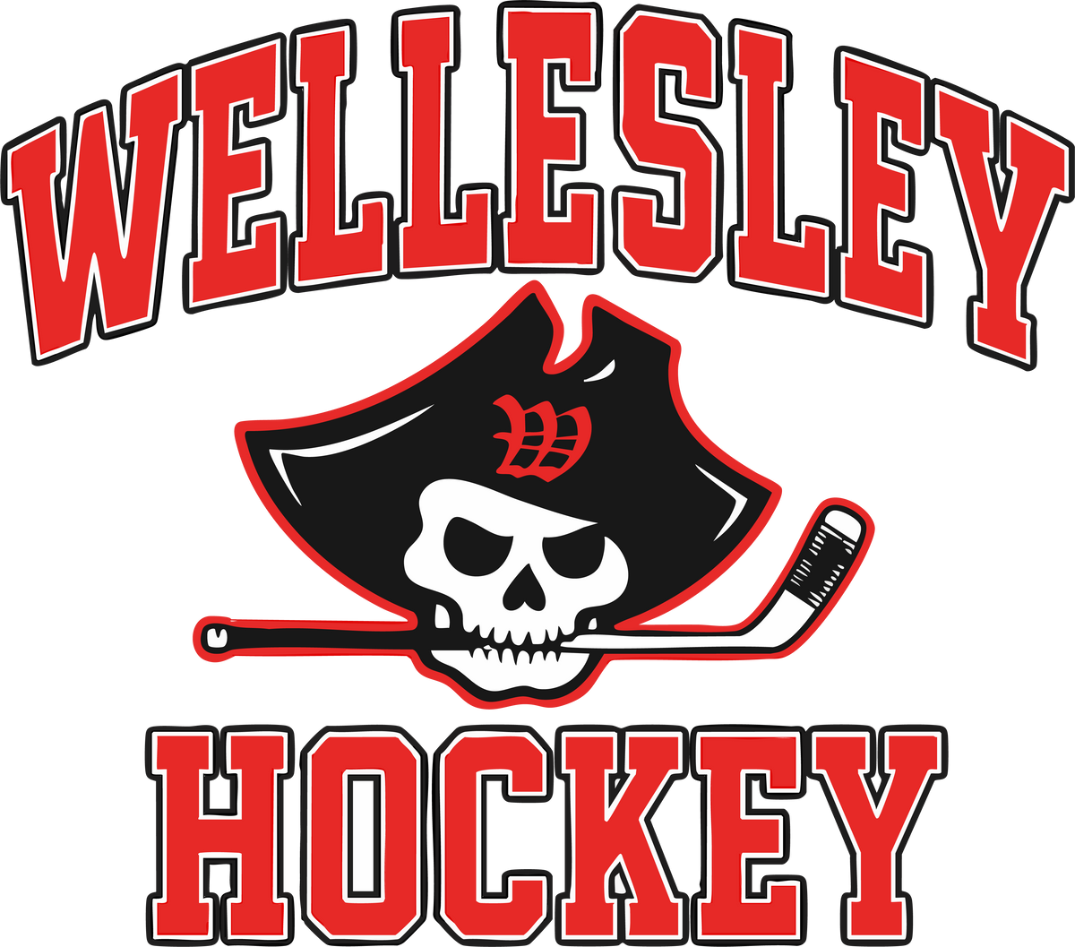 Wellesley High School Hockey – HockeyGear Pro Shop
