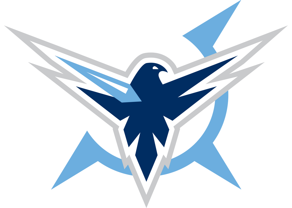 Icehawks Helmet Decals – HockeyGear Pro Shop